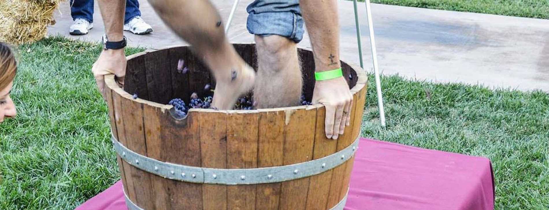 Grape Stomp 2019 - Temecula Entertainment